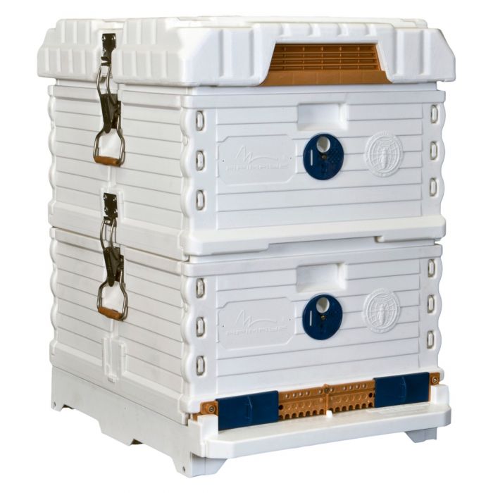 Buy Apimaye 10F Full Depth Honey Bee Brood And Bee Super With 10 Beemax ...