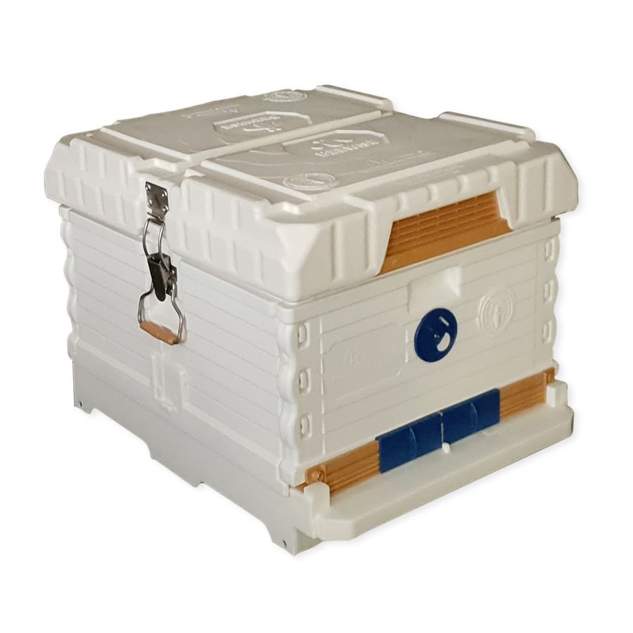 Order Apimaye 10F Frame Depth Honey Bee Brood - Beewise